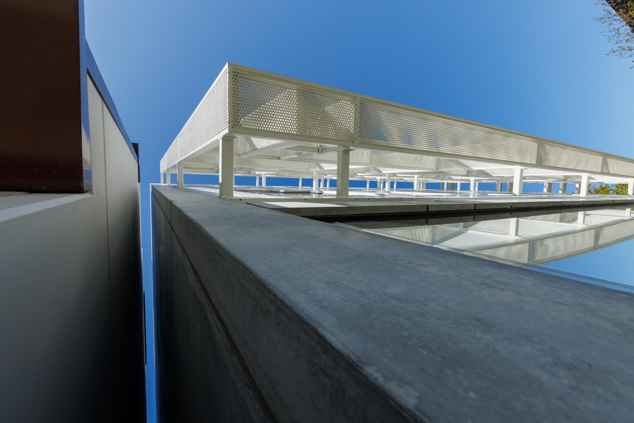 Insol | Forte Health